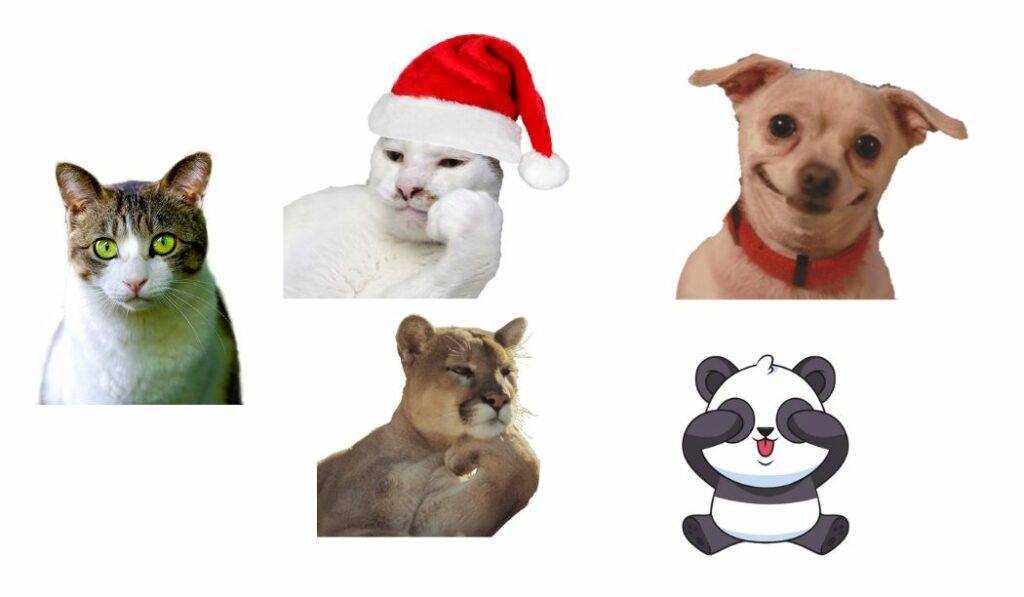 Best WhatsApp Stickers In 2023 - Funny Stickers, Memes, Animated | Geekman